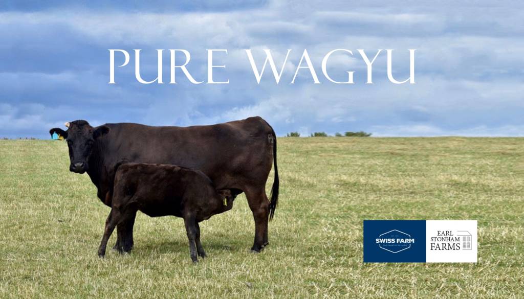 Earl Stonham Farms WAGYU - Swiss Farm Butchers